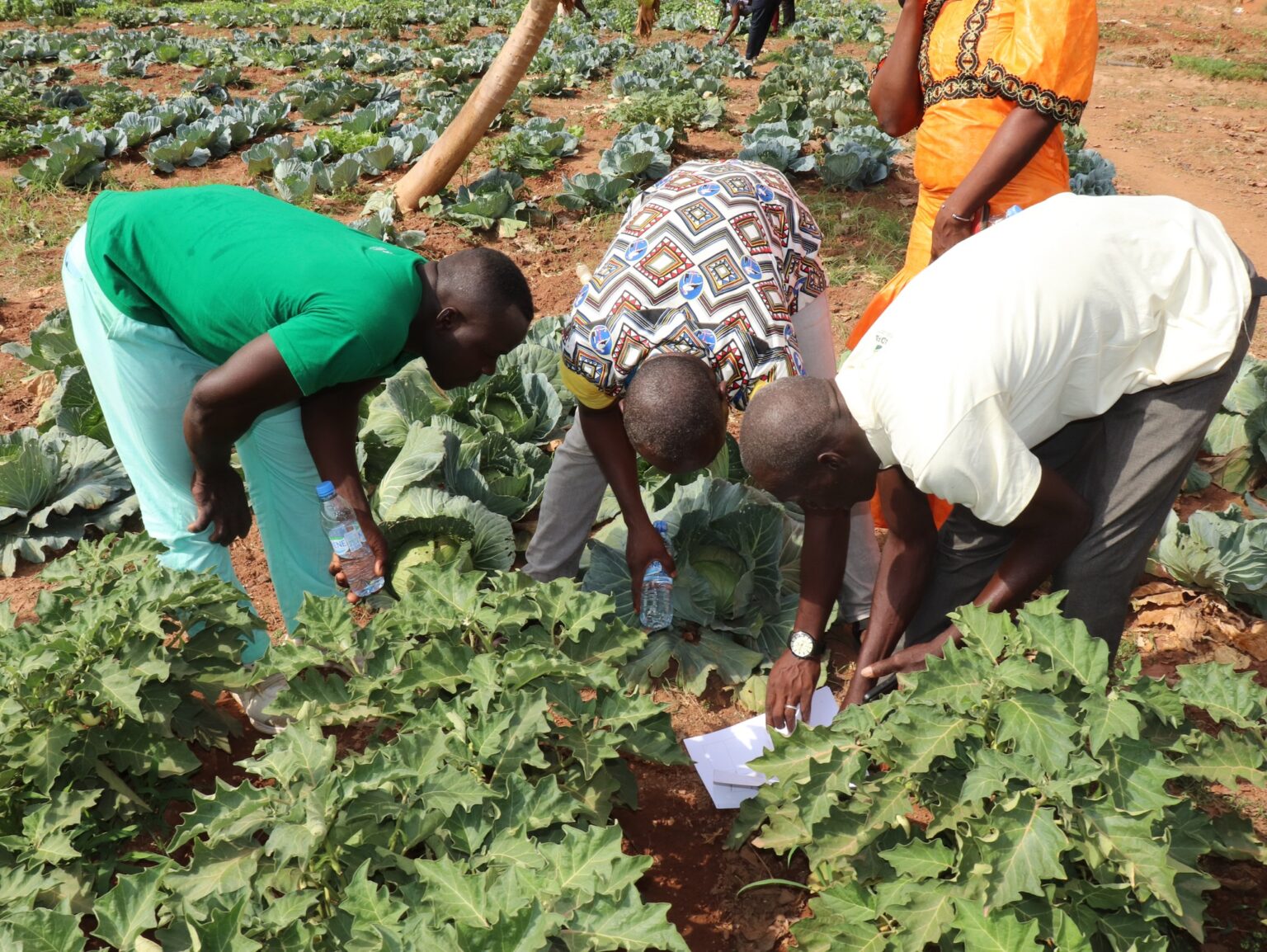 PARTENARIAT PROJET MARIGO ET LE PADFA - PADFA